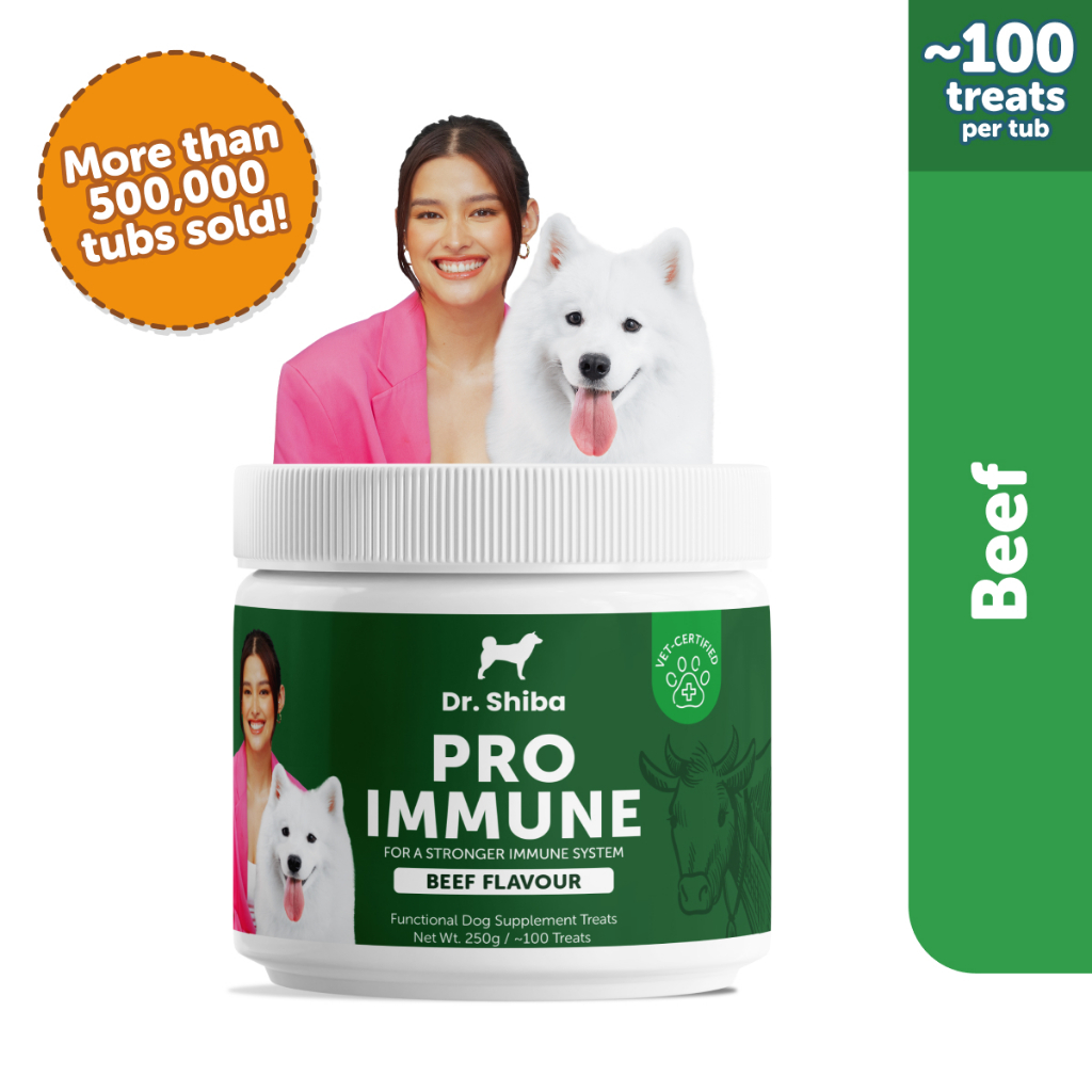 Dr Shiba Pro Immune Healthy Dog Treats Snack: Dog Multivitamins - Dog ...