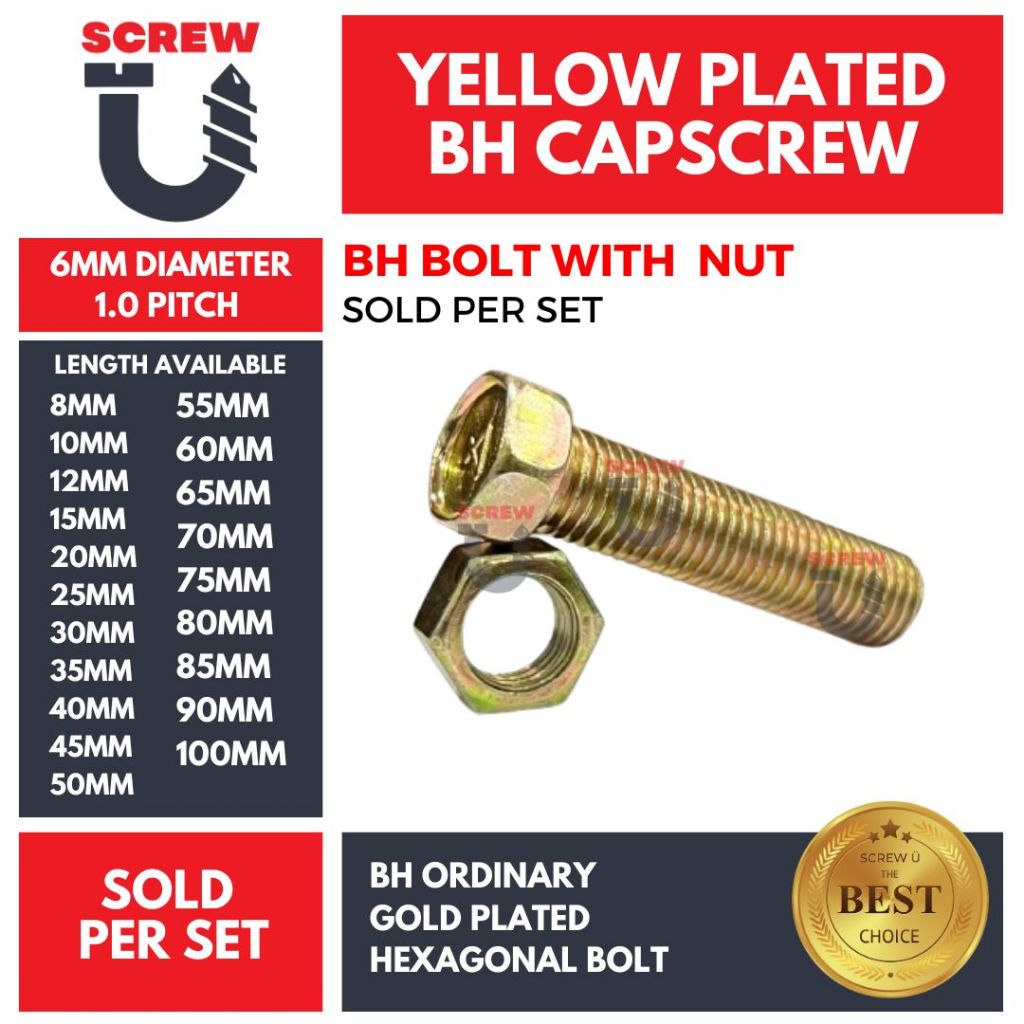 BH Hex Bolt 6MM(1.0P) | Gold Plated Capscrew Ordinary w/Nut SOLD PER ...