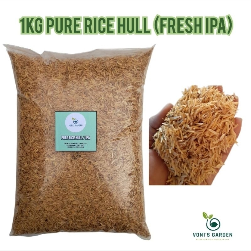 FRESH RICE HULL (1 KILO) FRESH IPA | Shopee Philippines