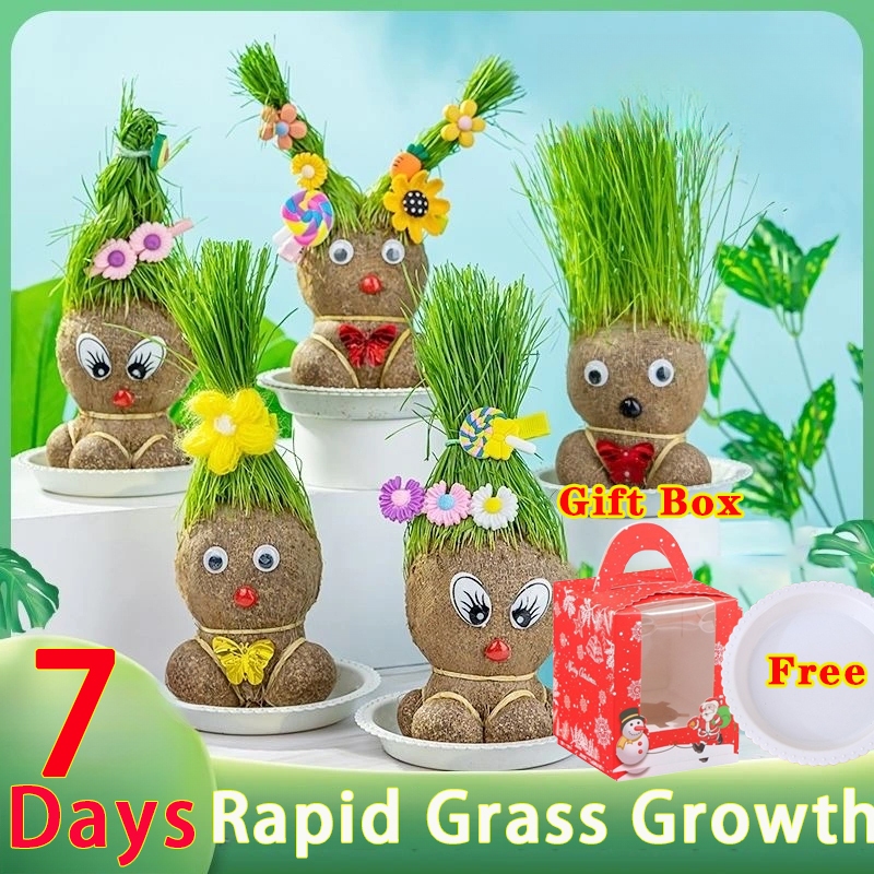 Grass Head Room Decor Children Growing Grass Doll Toy Indoor Office ...