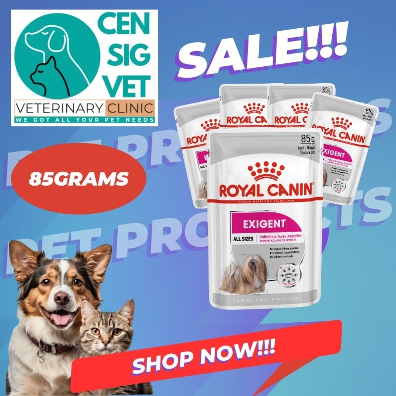 Royal Canin Exigent Loaf for Dogs with Fussy Apetites 85g (Wetfood ...