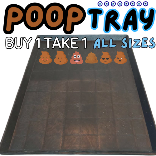 DragonWare8 POOP TRAY all sizes BUY1 TAKE 1 | Shopee Philippines