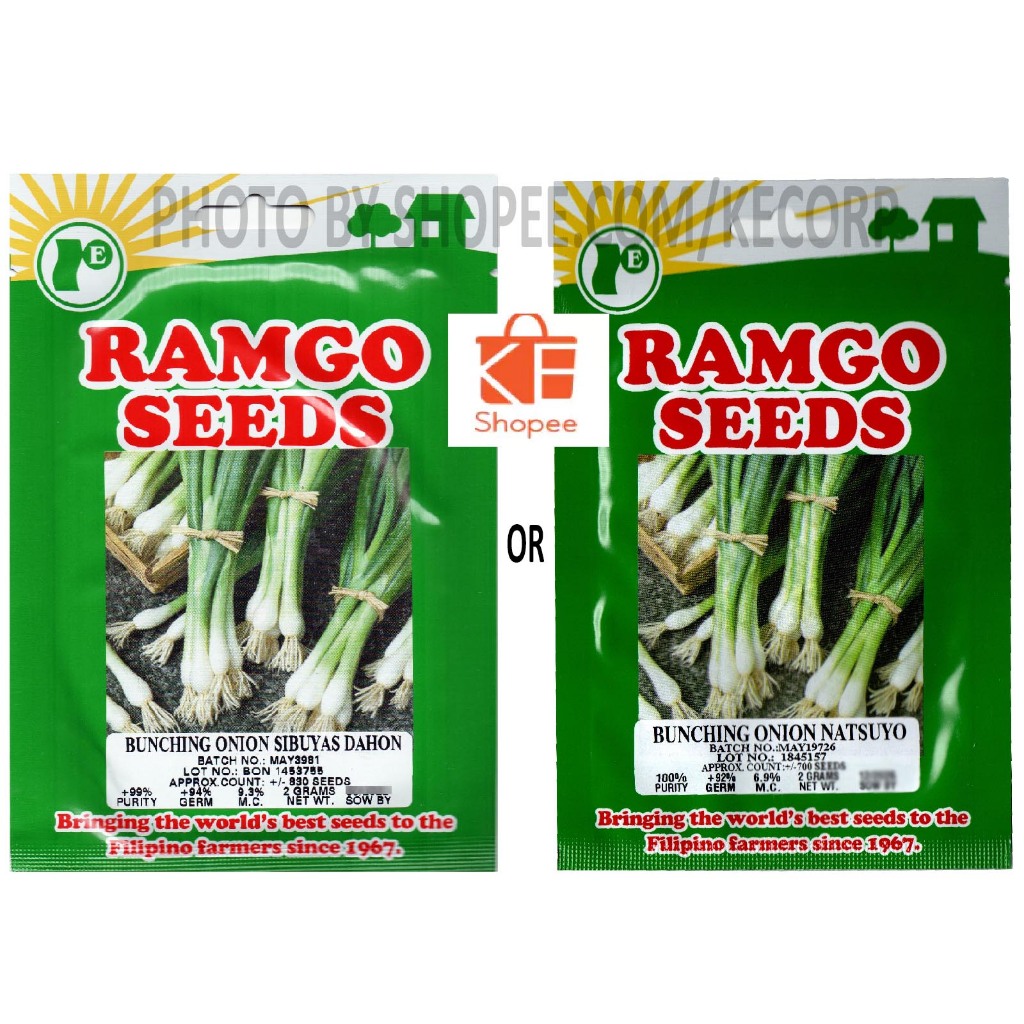 Ramgo RPD BUNCHING ONION SIBUYAS DAHON 2 g KECORP_S1 | Shopee Philippines