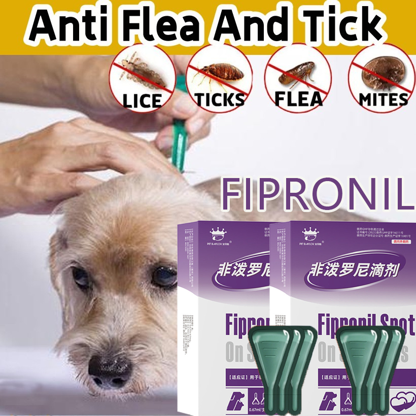 Anti flea and tick for dog Fipronil Detick for Dog and Cat anti ...