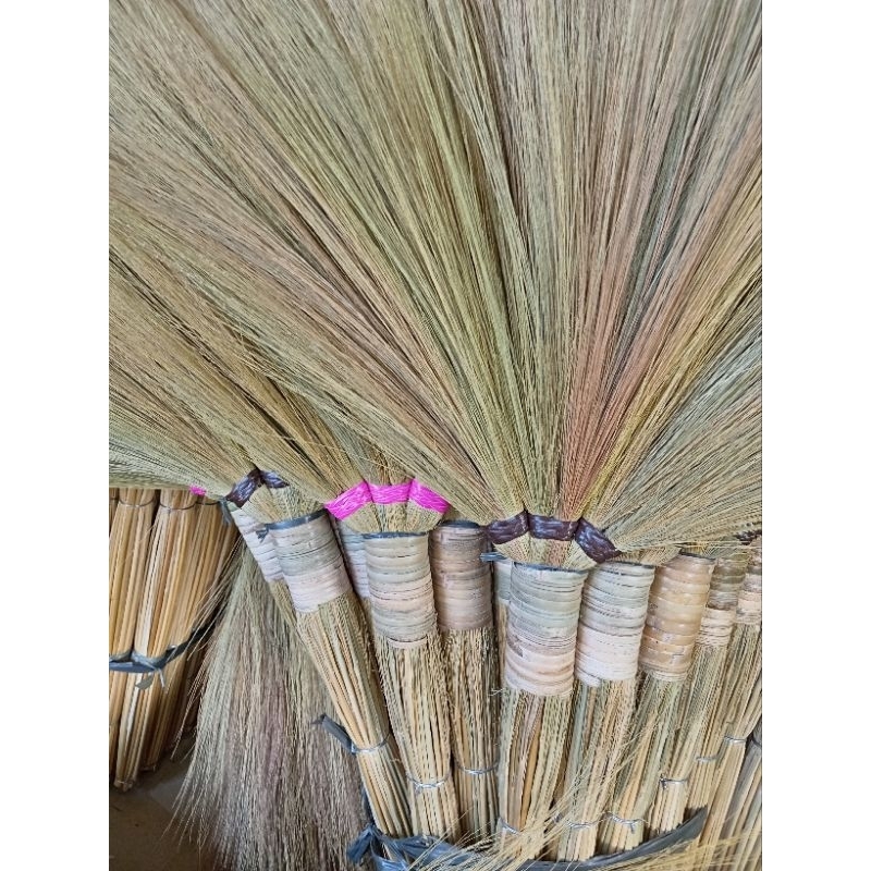 softbroom/walis tambo Ilocos | Shopee Philippines