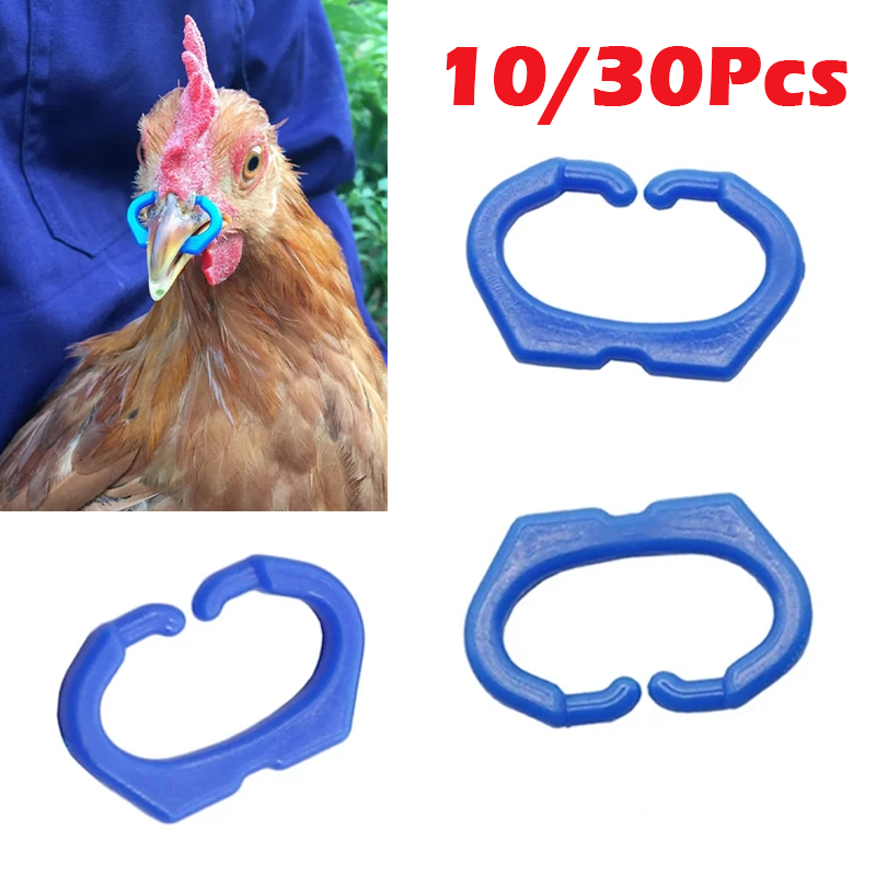 10/30Pcs Chicken mouth buckle prevent cockfighting beak clip gamefowl ...