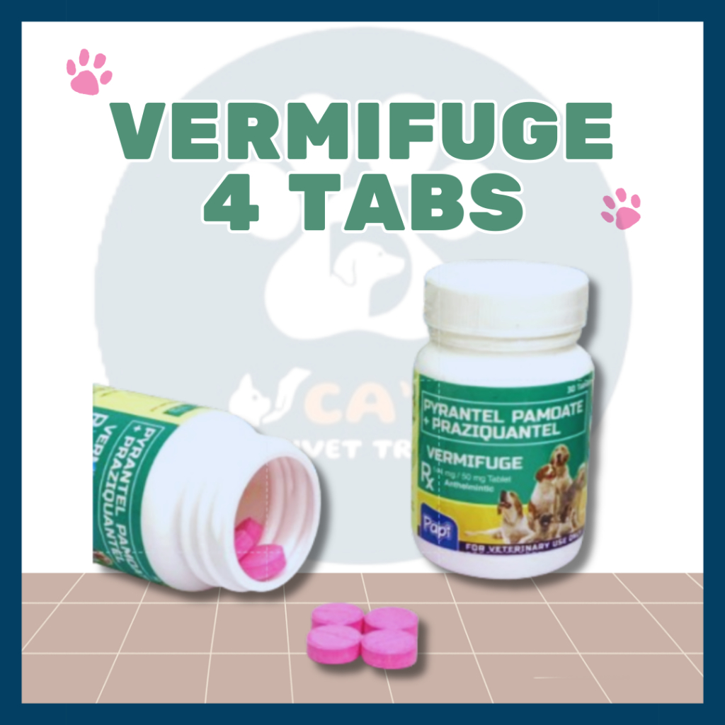 [CARE AGRIVET] 4pcs Papi Vermifuge Dewormer for Dogs and Cats (Tingi ...
