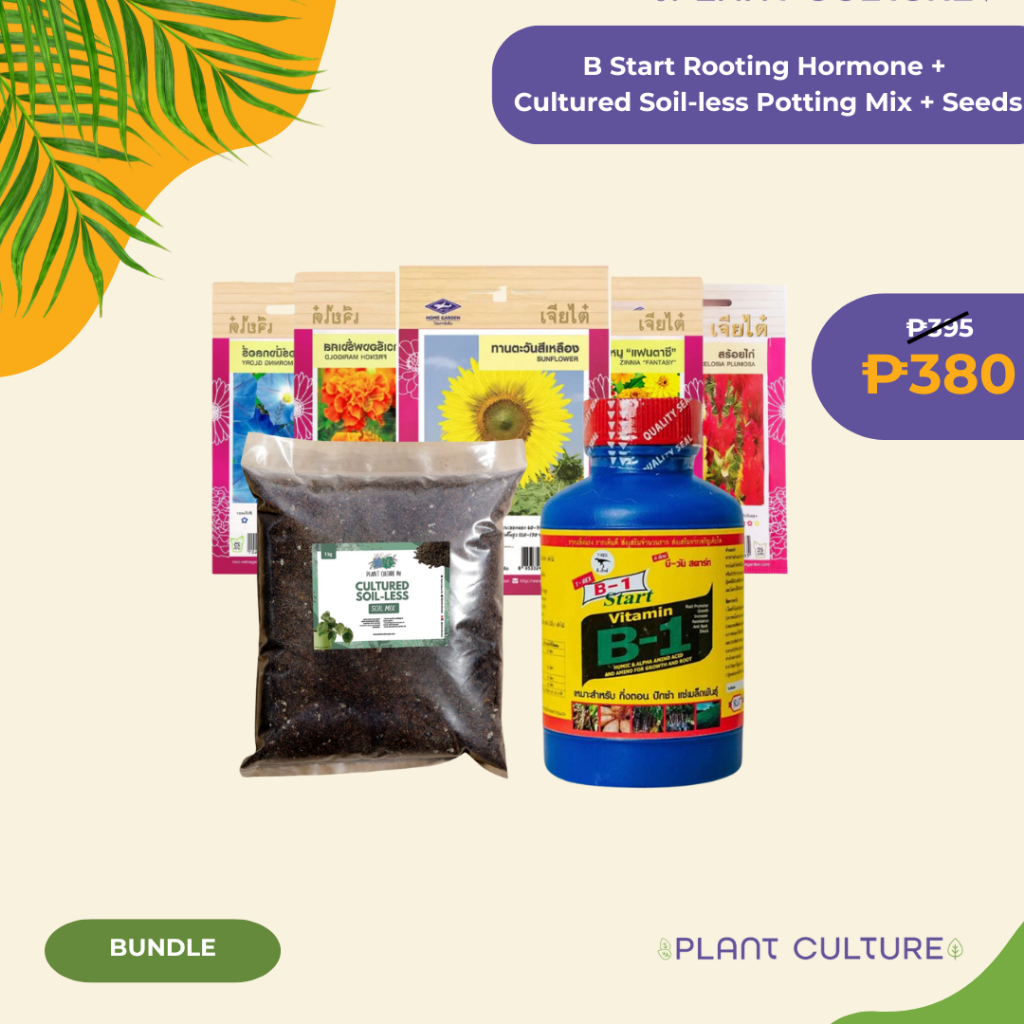 B Start Rooting Hormone + Cultured Soil-less Potting Mix + Home Garden ...