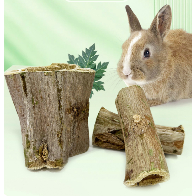 Small pet animal rabbit molar papaya dun rabbit healthy teeth molar ...