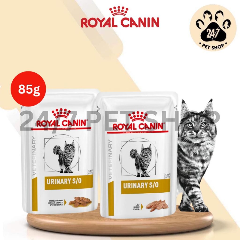 Feline Wet Cats Food POUCH 85g Royal Canin URINARY SO Cat 24/7 Pet Shop ...