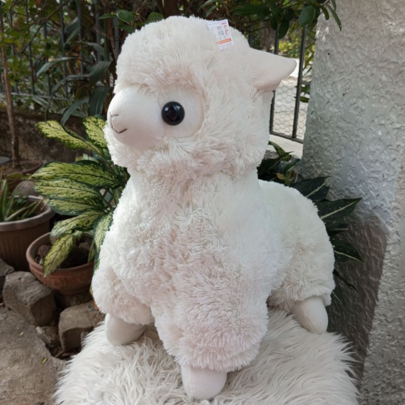 Amuse White Alpaca ALPACASSO Original Japan Plush Toy | Shopee Philippines