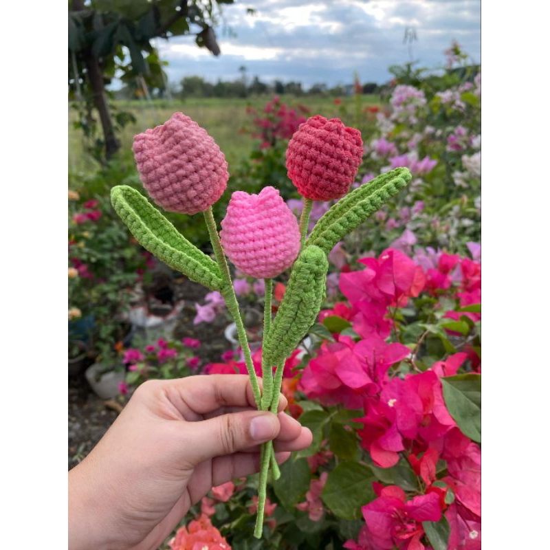 Mini Tulips(sold Per Piece) | Shopee Philippines