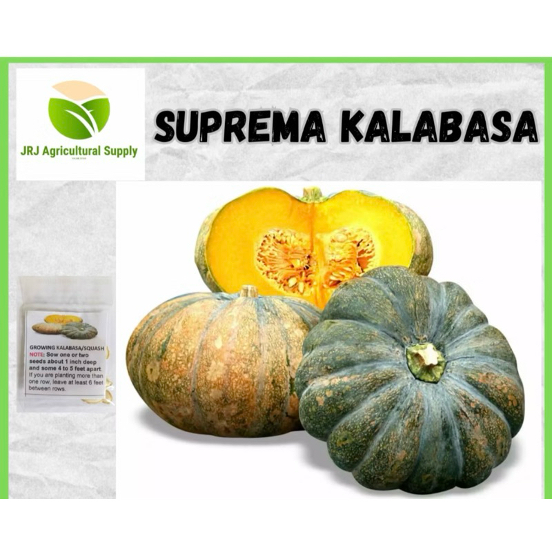 Squash/Kalabasa LAGKITAN- 5 pcs seeds (1pack) | Shopee Philippines
