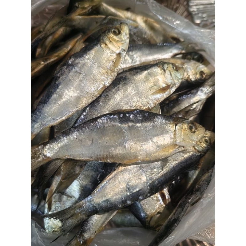 1 Kilo per pack Tuyo Salinas | Shopee Philippines