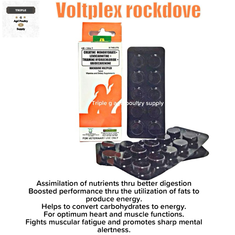 Voltplex rockdove pigeon supplement 1box (30 Tablets) | Shopee Philippines