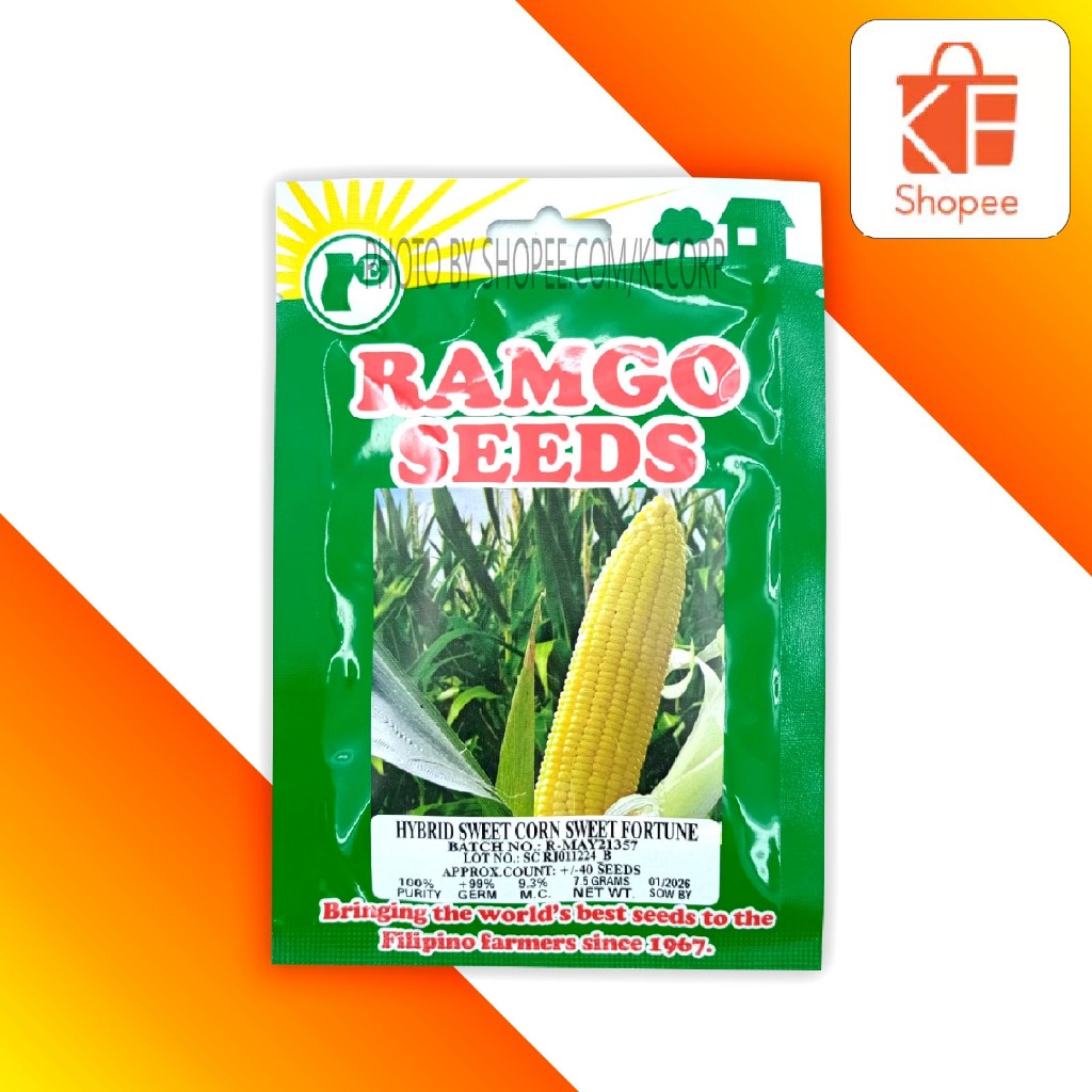 Ramgo RPD Hybrid Sweet Corn Sweet Fortune Seeds 7.5 g kcS11207 | Shopee ...