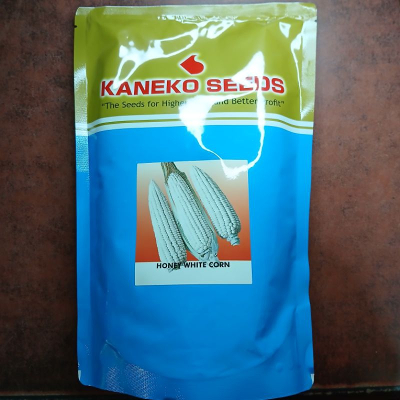 Honey White Corn (1 kilo) Waxy Corn / Lagkitan mais by Kaneko Seeds ...