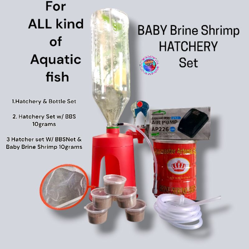 HATCHERY Set Baby Brine Shirmp (,1pc Single or DUAL Airpump, 2 meter ...