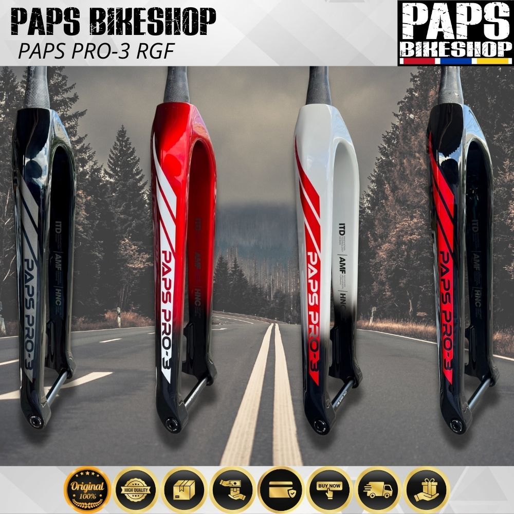 PAPS PRO- RIGID FORK CARBON - 1 YEAR WARRANTY! | Shopee Philippines