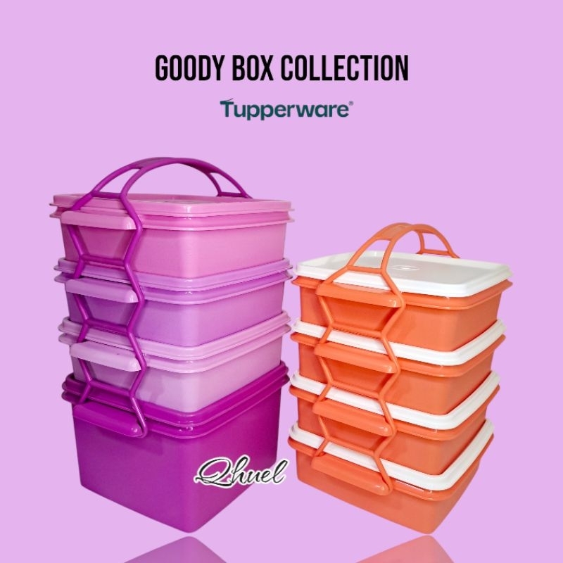 Tupperware Small Goody Box 850ml Capacity | Shopee Philippines