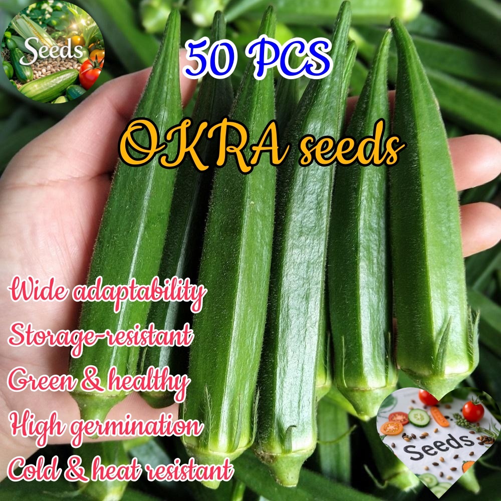 50 Seeds/pack HYBRID OKRA SEEDS-OKRA VEGETABLE SEEDS/Smooth Green ...