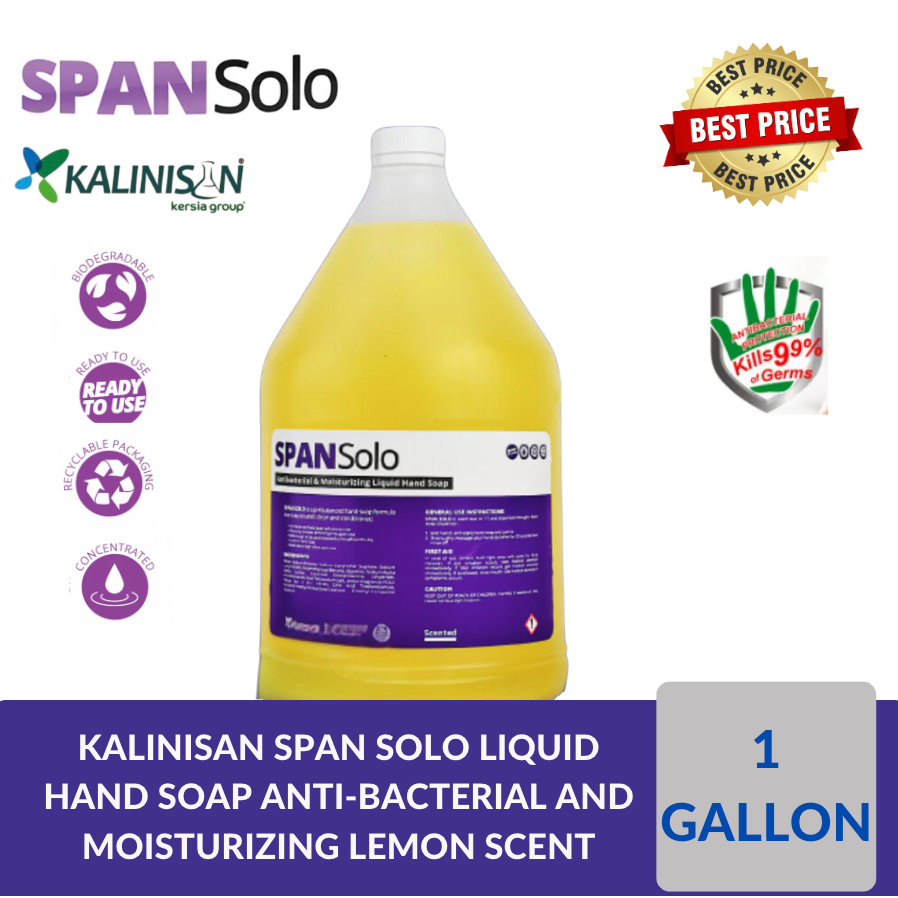 BESTPRICEKalinisan Span Solo Antibacterial & Moisturizing Liquid Hand ...