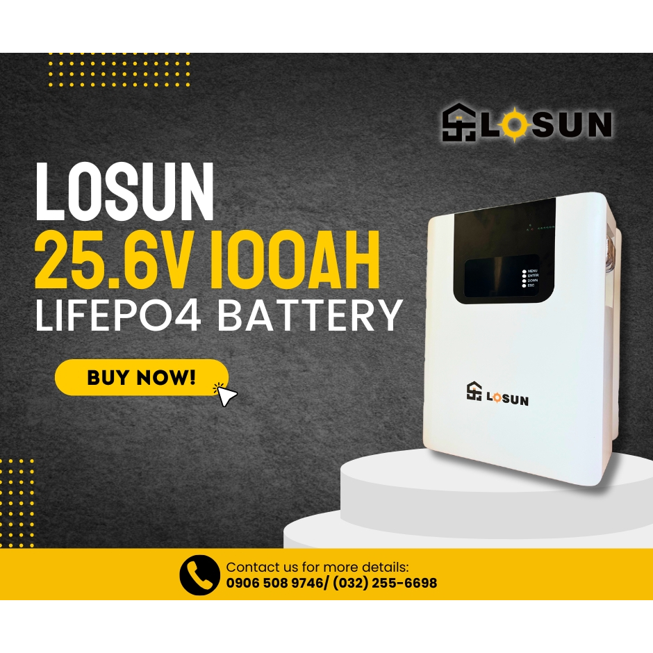 LOSUN BATTERY 25.6V 100AH | Shopee Philippines