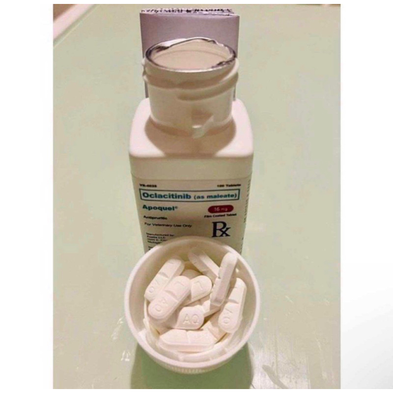 Apoquel 16mg per tablet by Zoetis | Shopee Philippines