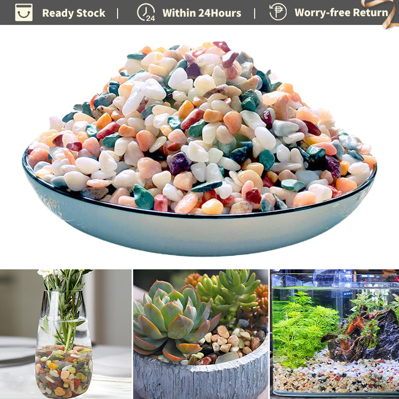 Natural Polished River Pebbles Colorful Stones for Fishbowl Succulent ...
