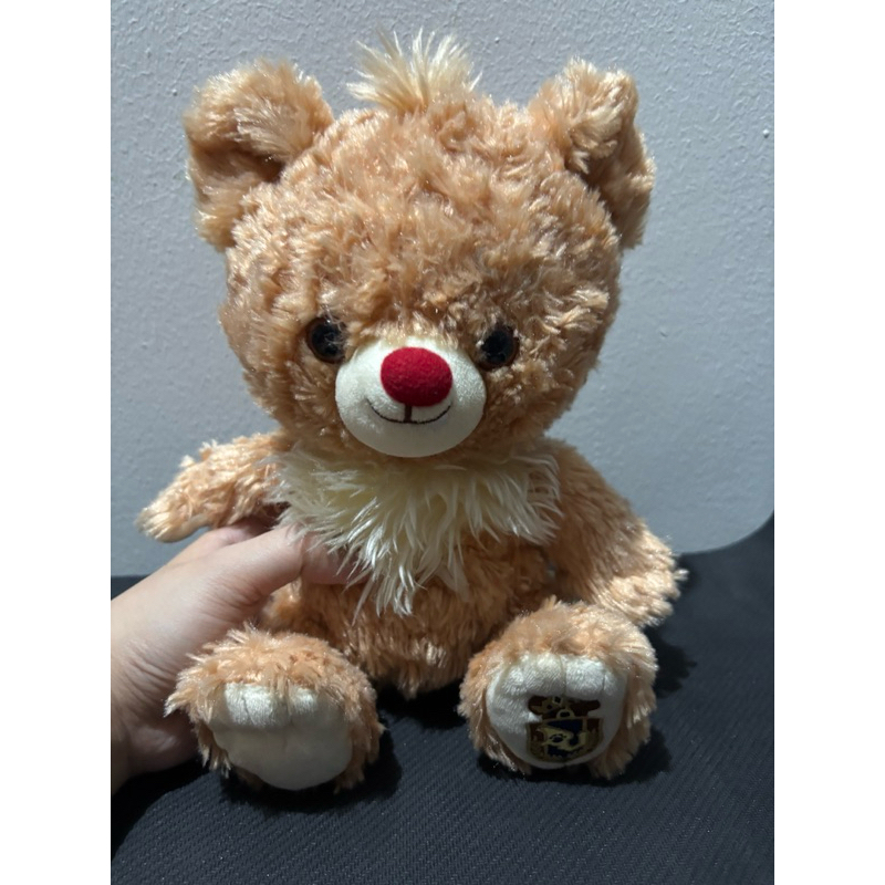 Authentic Disney Unibearsity Ludwig Von Drake Bear Plush | Shopee ...