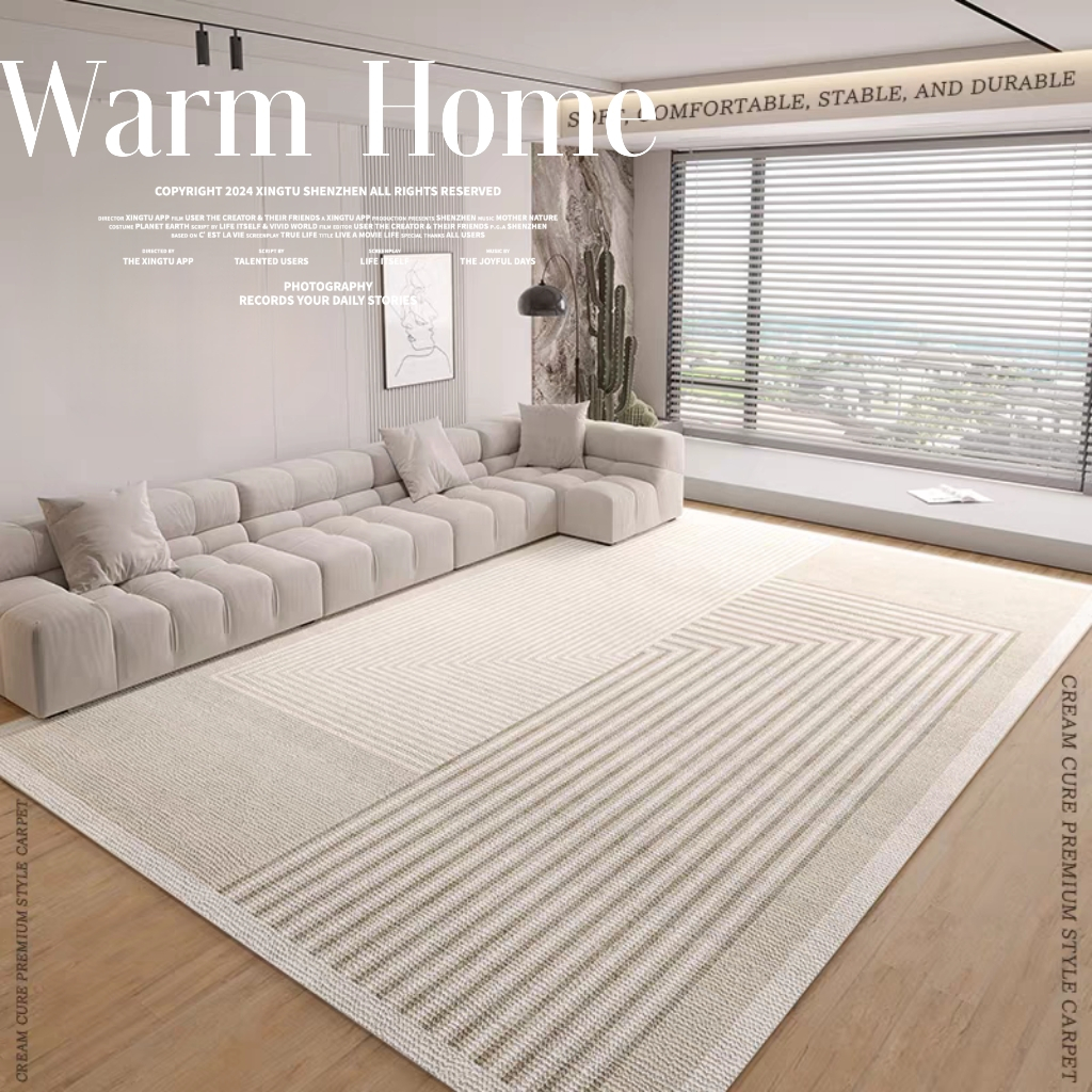 Carpet Living Room grey Karpet Anti Slip Non Wash Floor mats Modern ...