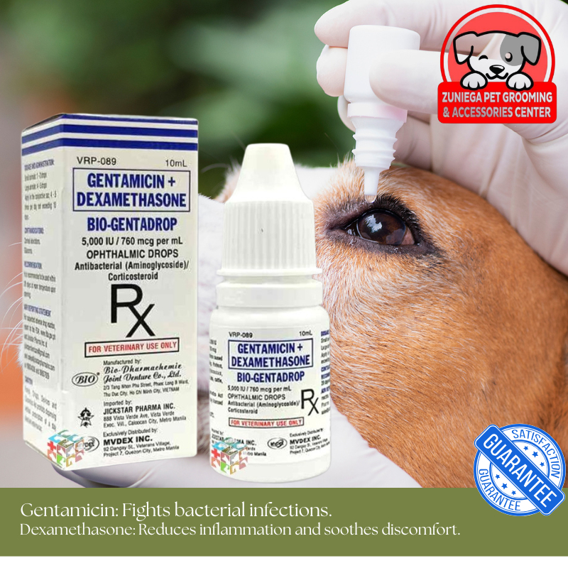 Bio-Genta Eye Drops for Pets 10ml - Gentamicin Eye Drop for Gog ...