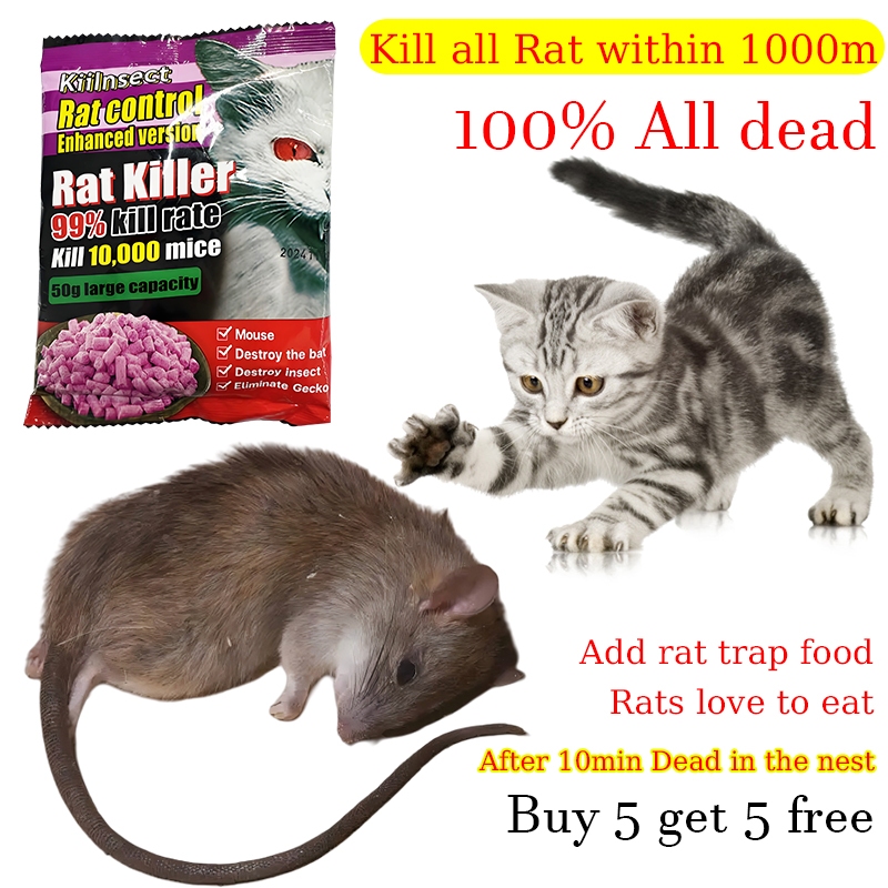 100% All dead Buy 5 get 5 free Kill all Rat Died quickly Mouse rat ...