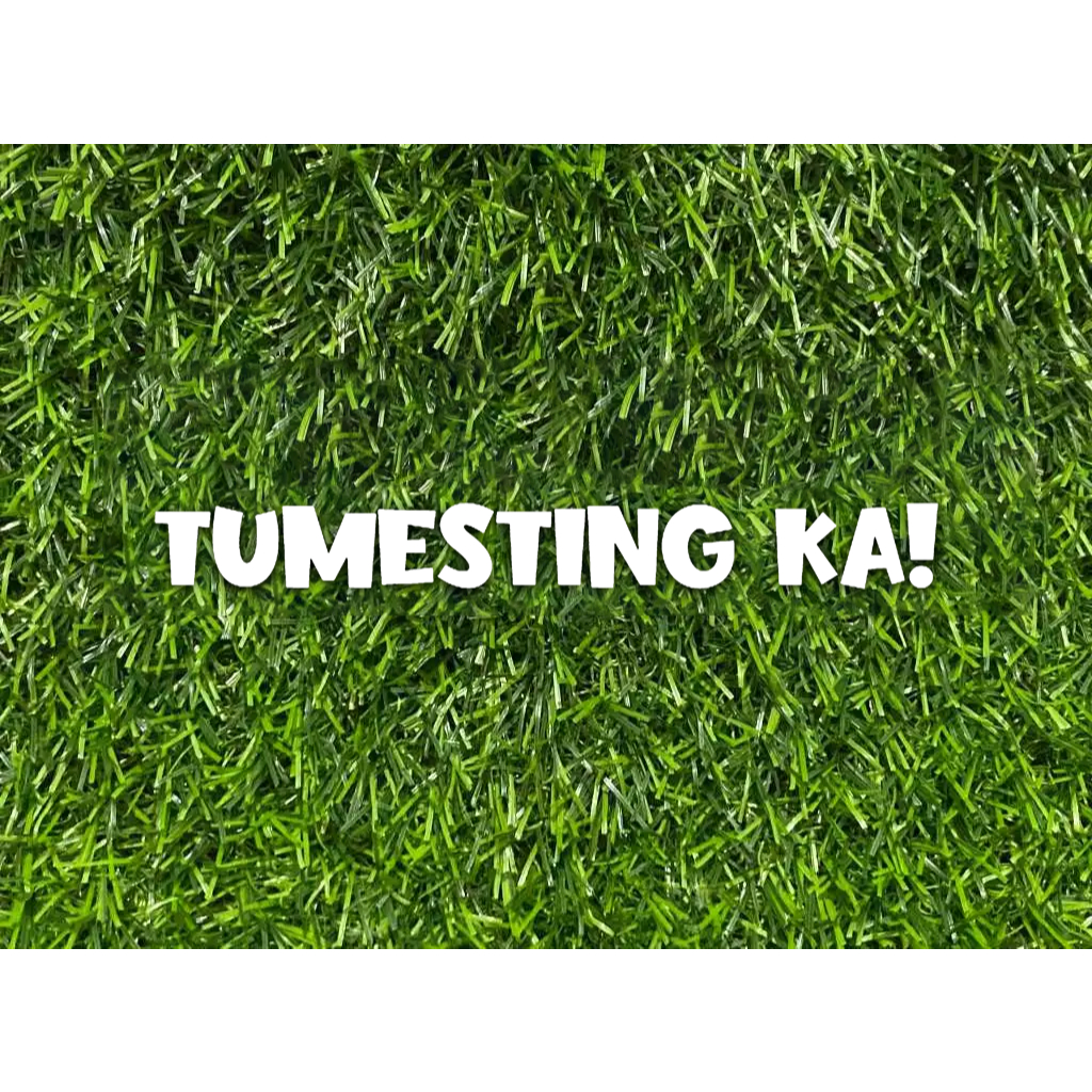 TUMESTING KA STICKER DECALS FOR MOTORCYCLE, CARS & ETC (WATERPROOF ...