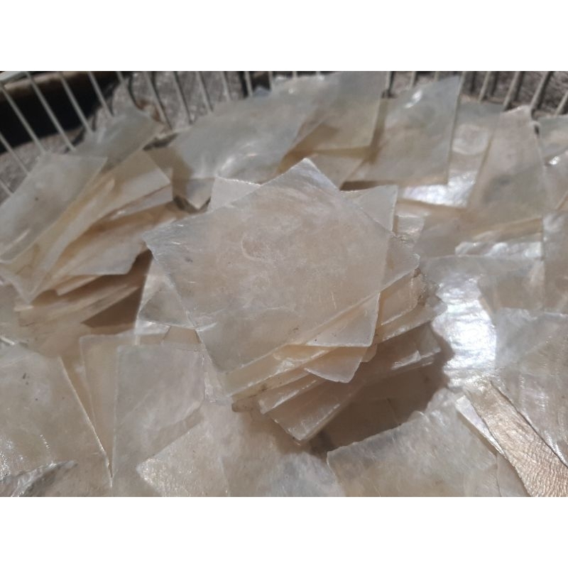 Original Capiz Shell - Class A | 2×2 inches | 20pcs. | Shopee Philippines