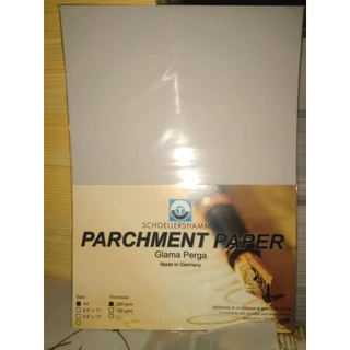 parchment paper - Best Prices and Online Promos - Aug 2025 | Shopee ...