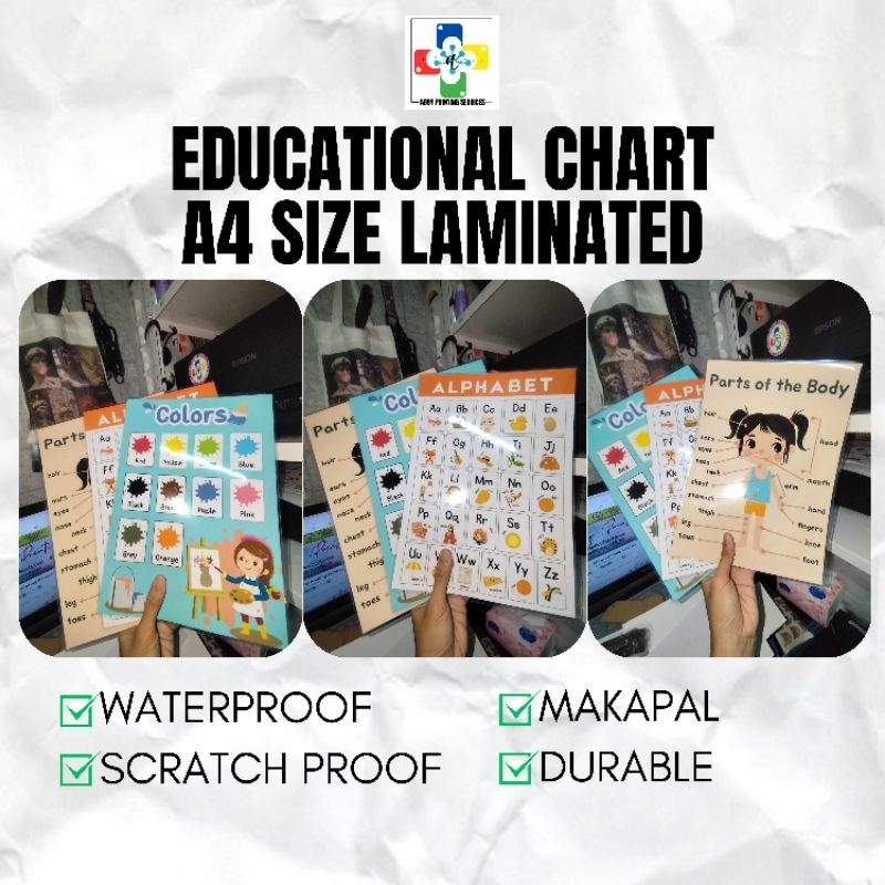 Educational Chart for Toddlers A4 size photo paper and laminated ...