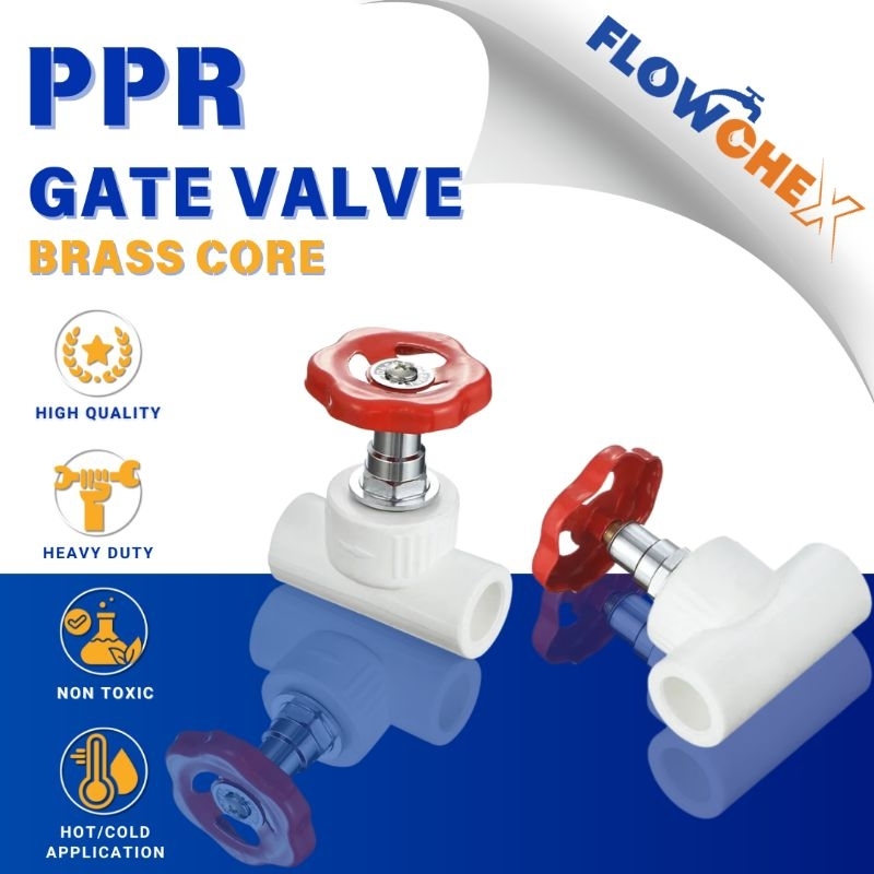 PPR GATE VALVE (BRASS CORE) | Shopee Philippines