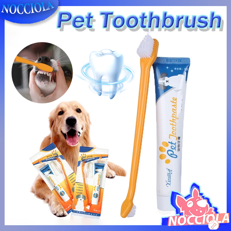 Pet Toothpaste Cleaning Supplies Care Edible Cat Dog Toothbrush and ...
