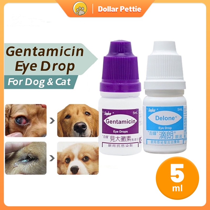 Pet Eye Drops 5ML Gentamicin Eye Drops for Cats Dogs Remove Infection ...