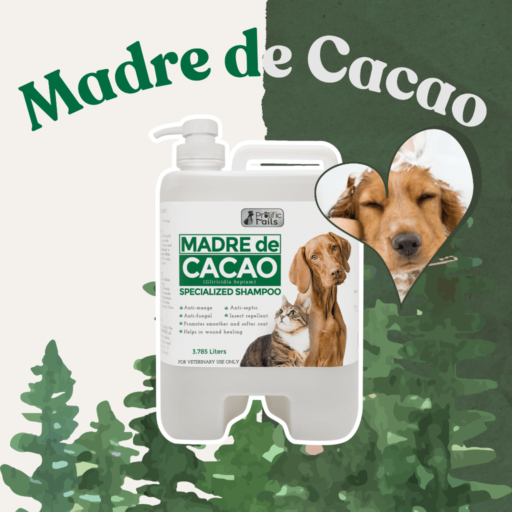 FIPRO-Anti Galis (Mange) Kati Kamot Madre de Cacao Specialized Shampoo ...
