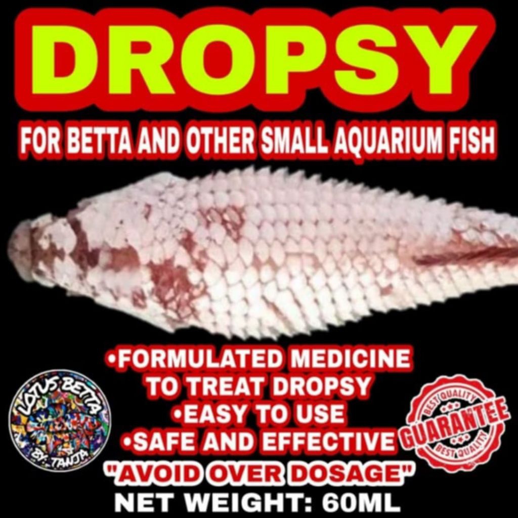 ANTI-DROPSY FOR BETTA AND SMALL AQUARIUM FISH (LOTUSBETTA) | Shopee Philippines