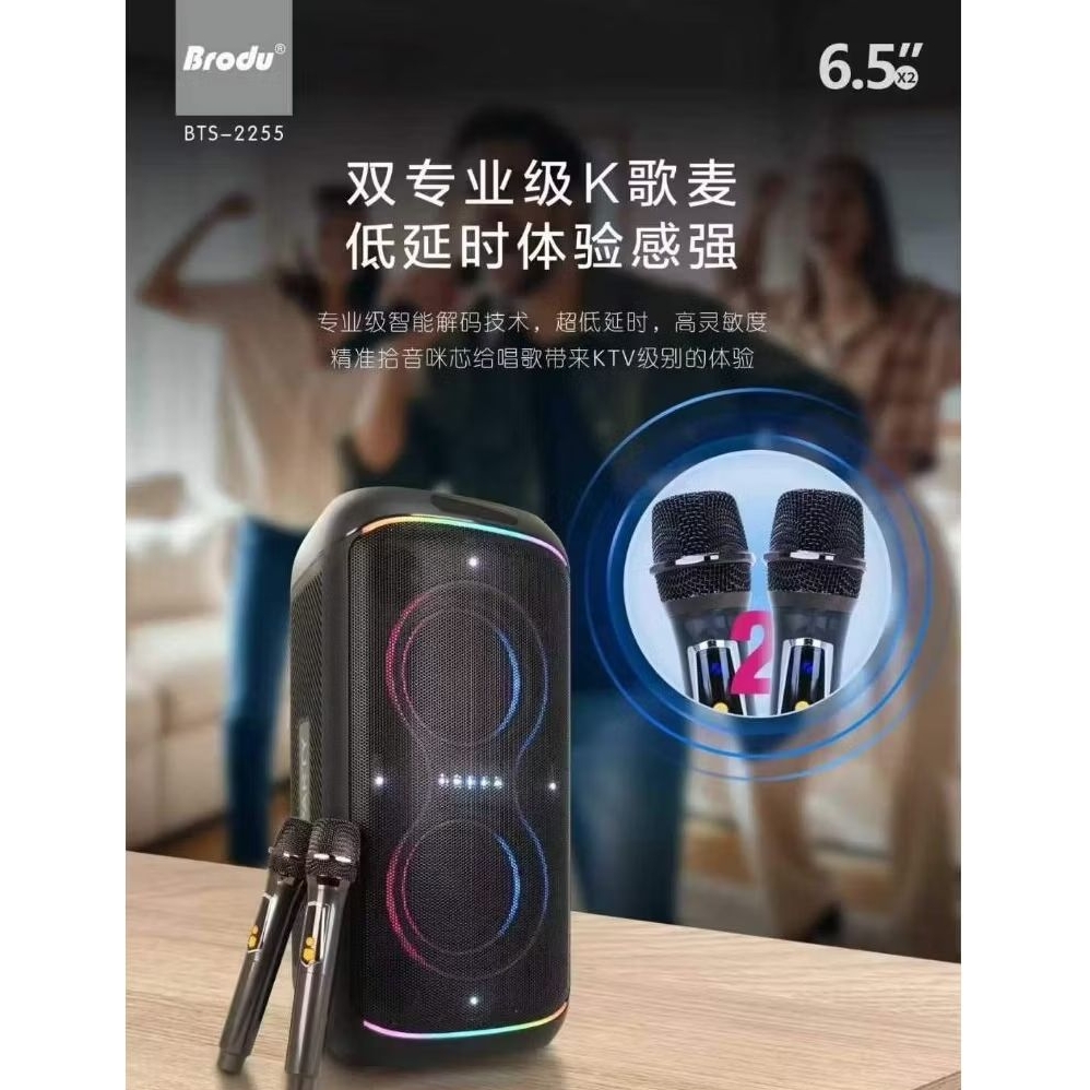IKARAOKE BOX 6.5 INCH WOFER WITH HANDLE BTS-2255 with DUAL WIRELESS ...