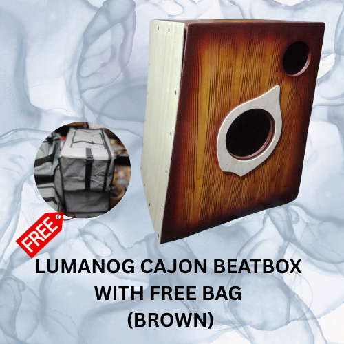 CAJON BEATBOX BRANDNEW WITH CASE | Shopee Philippines