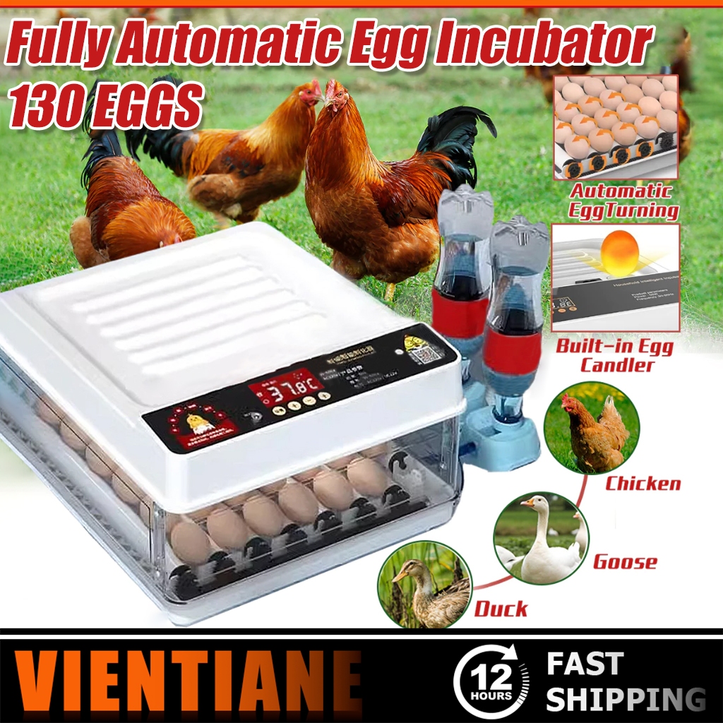 Fully Automatic Rotation Egg Incubator Intelligent Digital Hatcher ...