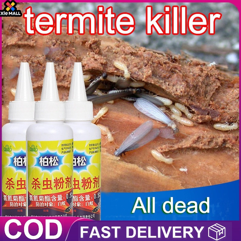 Queen ants die,infect each other,die quickly.Termite Killer termite x ...