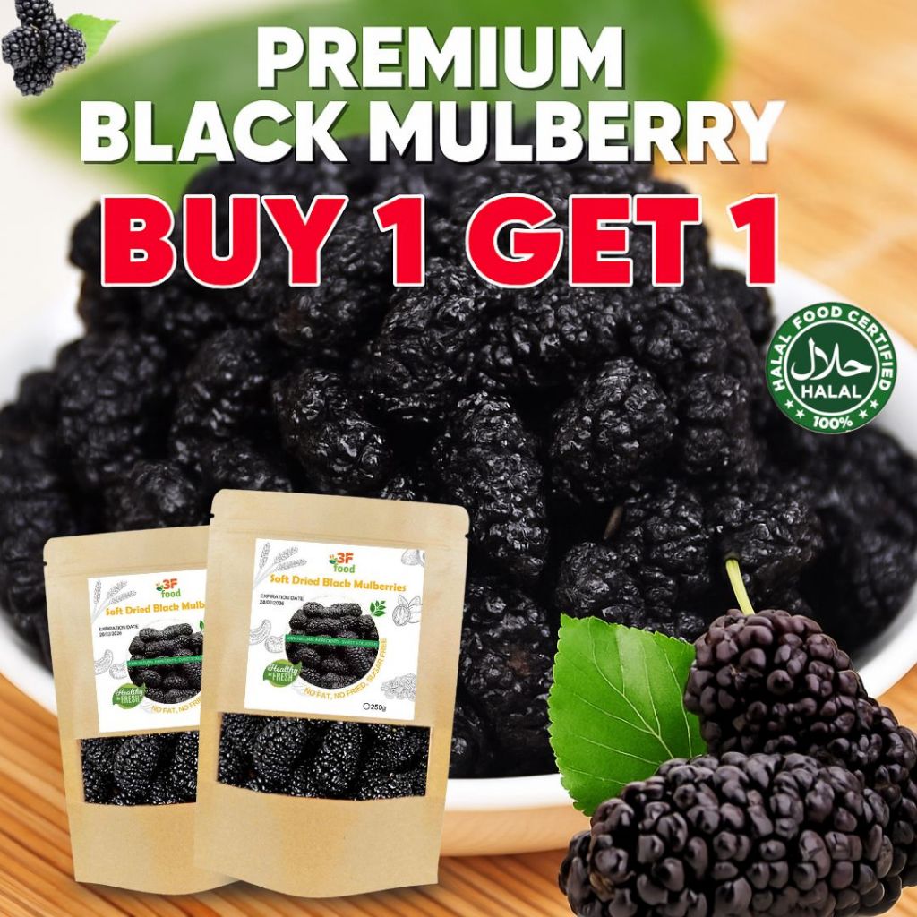 【BUY 1 TAKE 1】Soft-Dried Black Mulberries 100% Organic | Healthy Snack ...