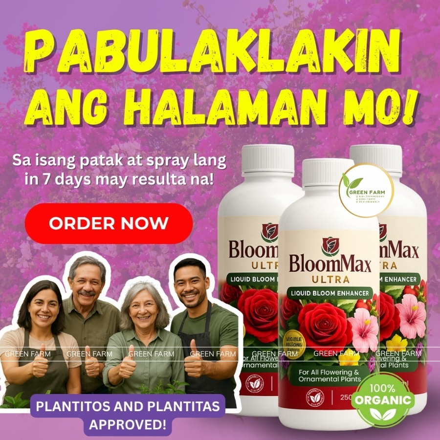 Bloom Max Ultra Fertilizer 250ML - Liquid Bloom Enhancer to help plants ...
