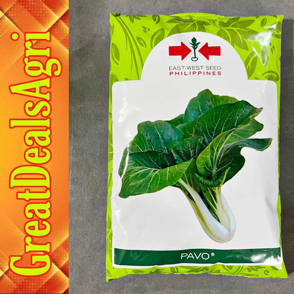 PAVO BLACK BEHI PECHAY SEEDS (1 KILO) BY EAST WEST SEEDS | Shopee ...