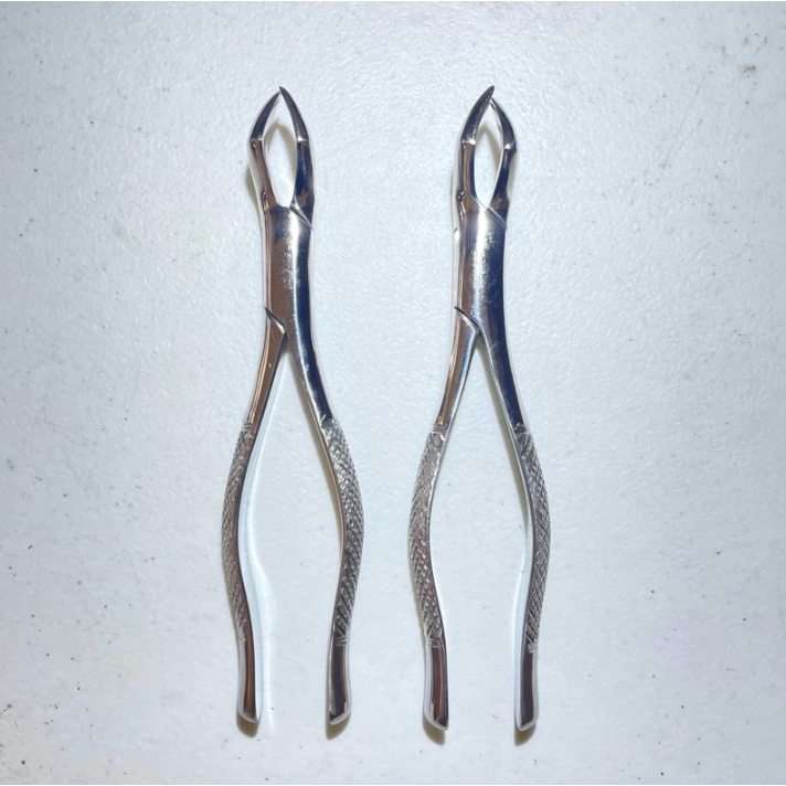 Surdent Adult Forceps Set 88L & 88R German Stainless | Shopee Philippines